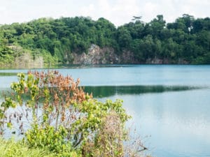 Pulau Ubin Singapore Day Trip: Another Side To Singapore