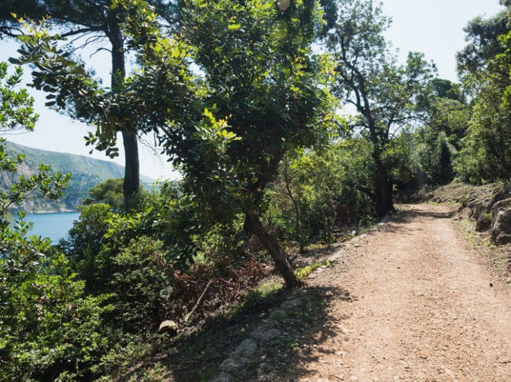 How To Get To Lokrum Island From Dubrovnik And Incredible Things To Do