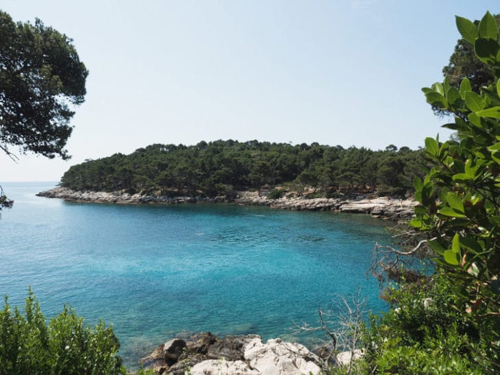 How To Get To Lokrum Island From Dubrovnik And Incredible Things To Do