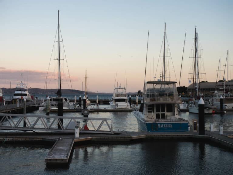 14 Incredible Things To Do In Hobart With A Toddler